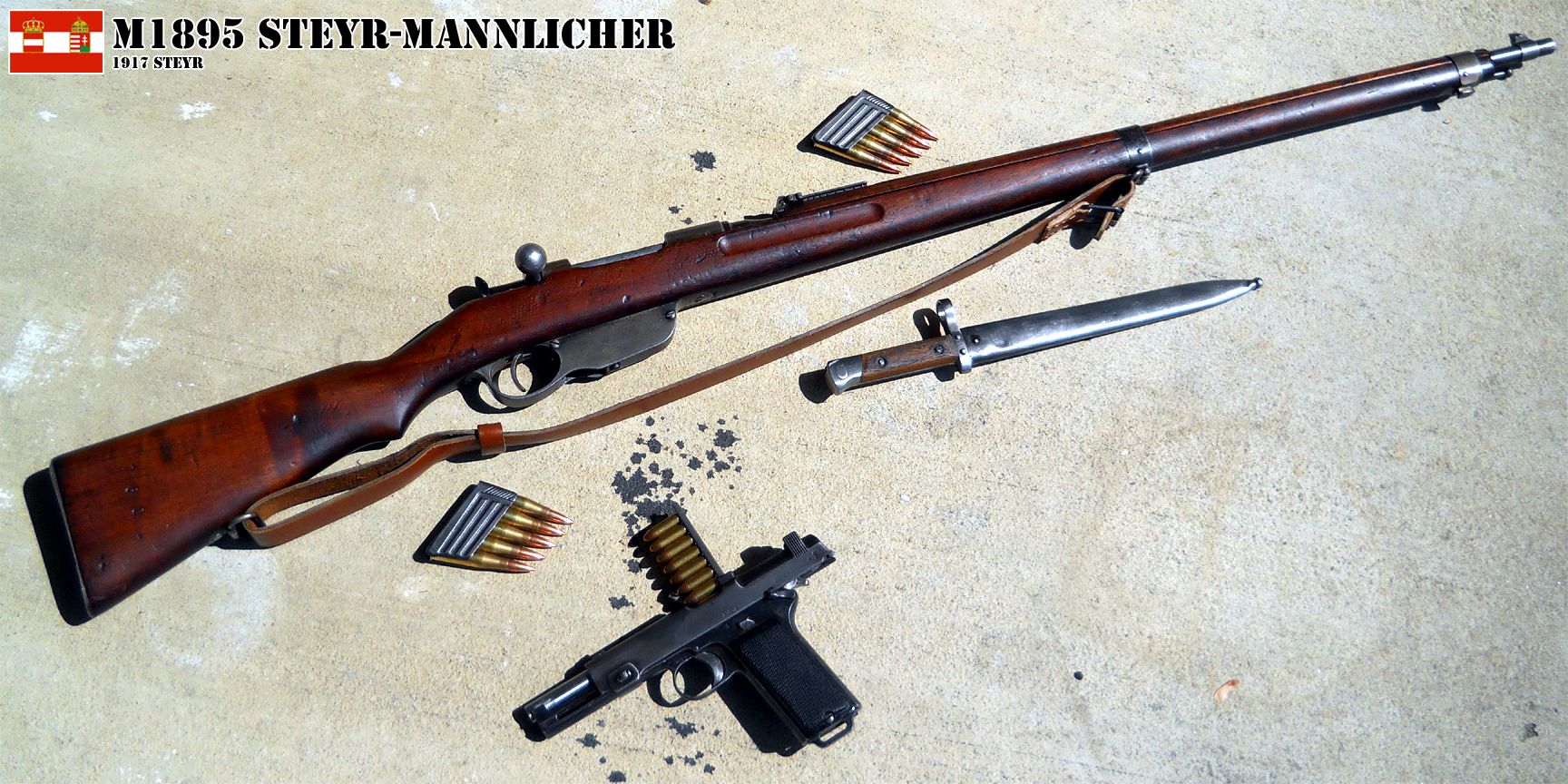 Steyr M95 Photo by MVolkJ1975 | Photobucket