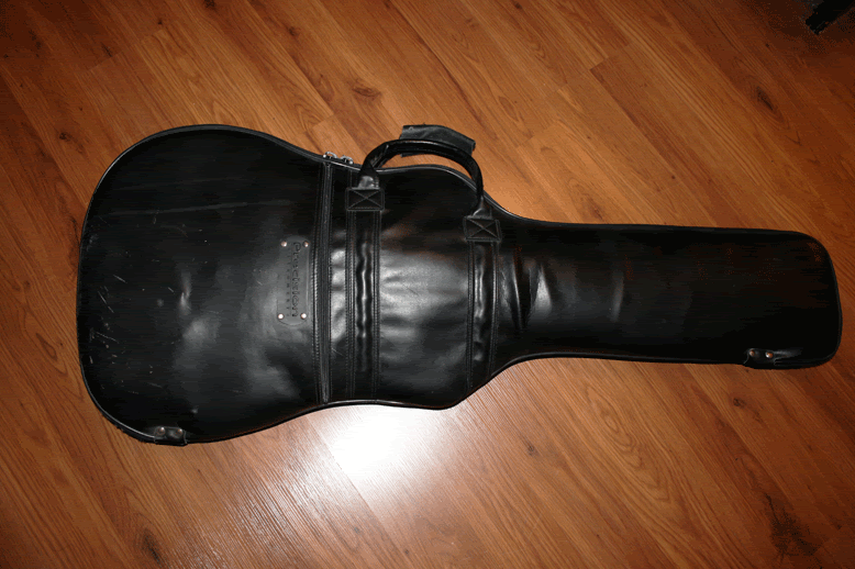 My Guitar/AR case - Calguns.net