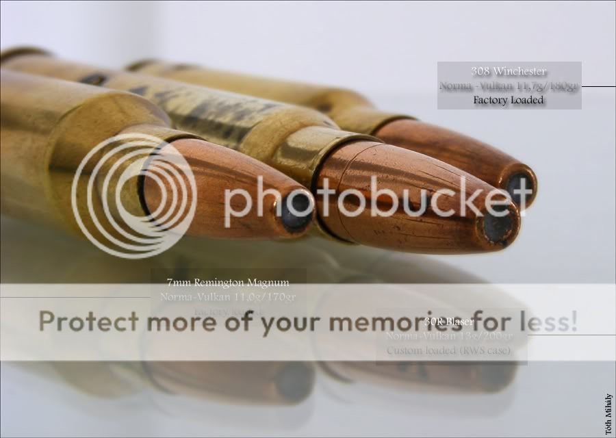 Norma Vulkan - General Ammunition Discussion - International Ammunition ...